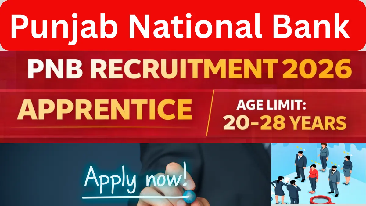 PNB Bank Apprentice (5138 Posts) Result Out, Check State Wise Result ...